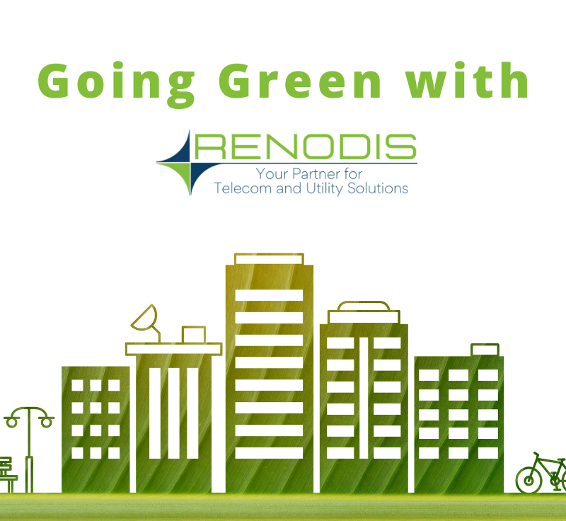 Project Management - Renodis