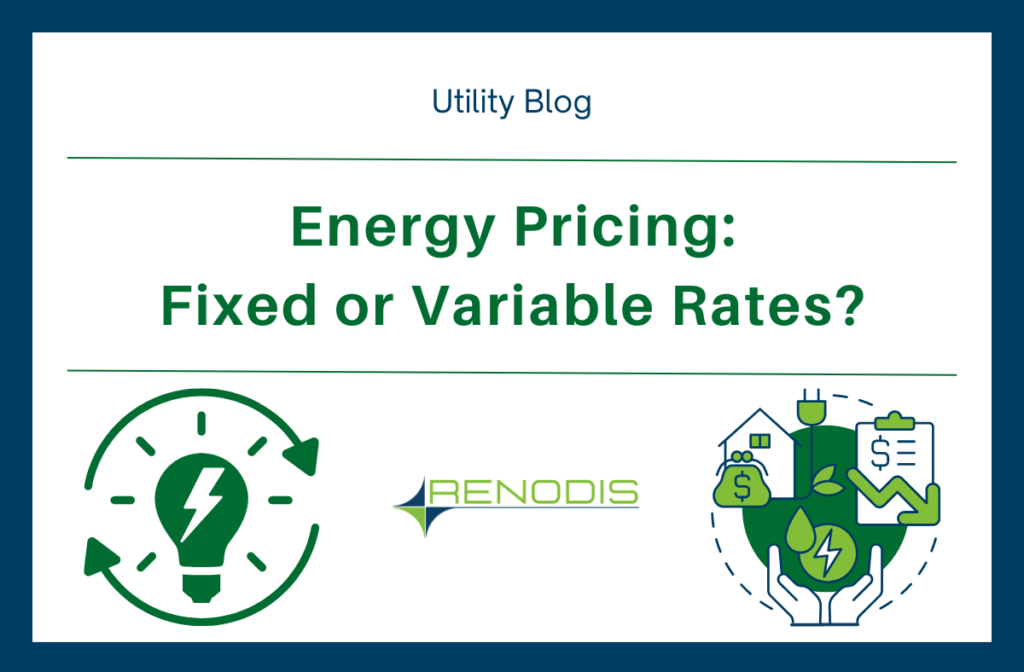 Energy Pricing: Fixed or Variable Rates? - Renodis