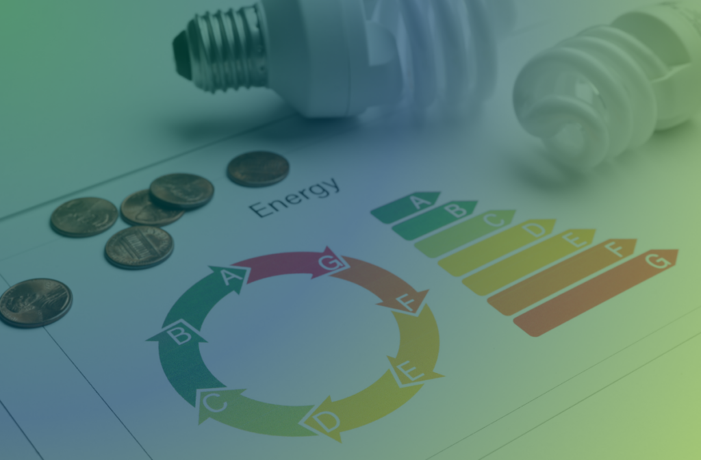 Maximizing Energy Efficiency: A Guide to Energy Incentive Programs Renodis